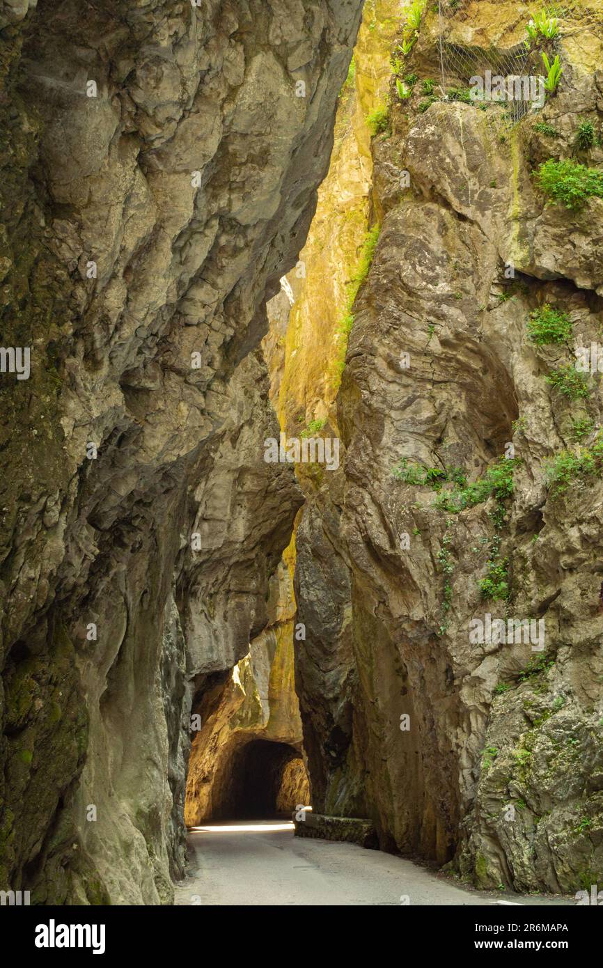 Scenario verticale hi-res stock photography and images - Alamy