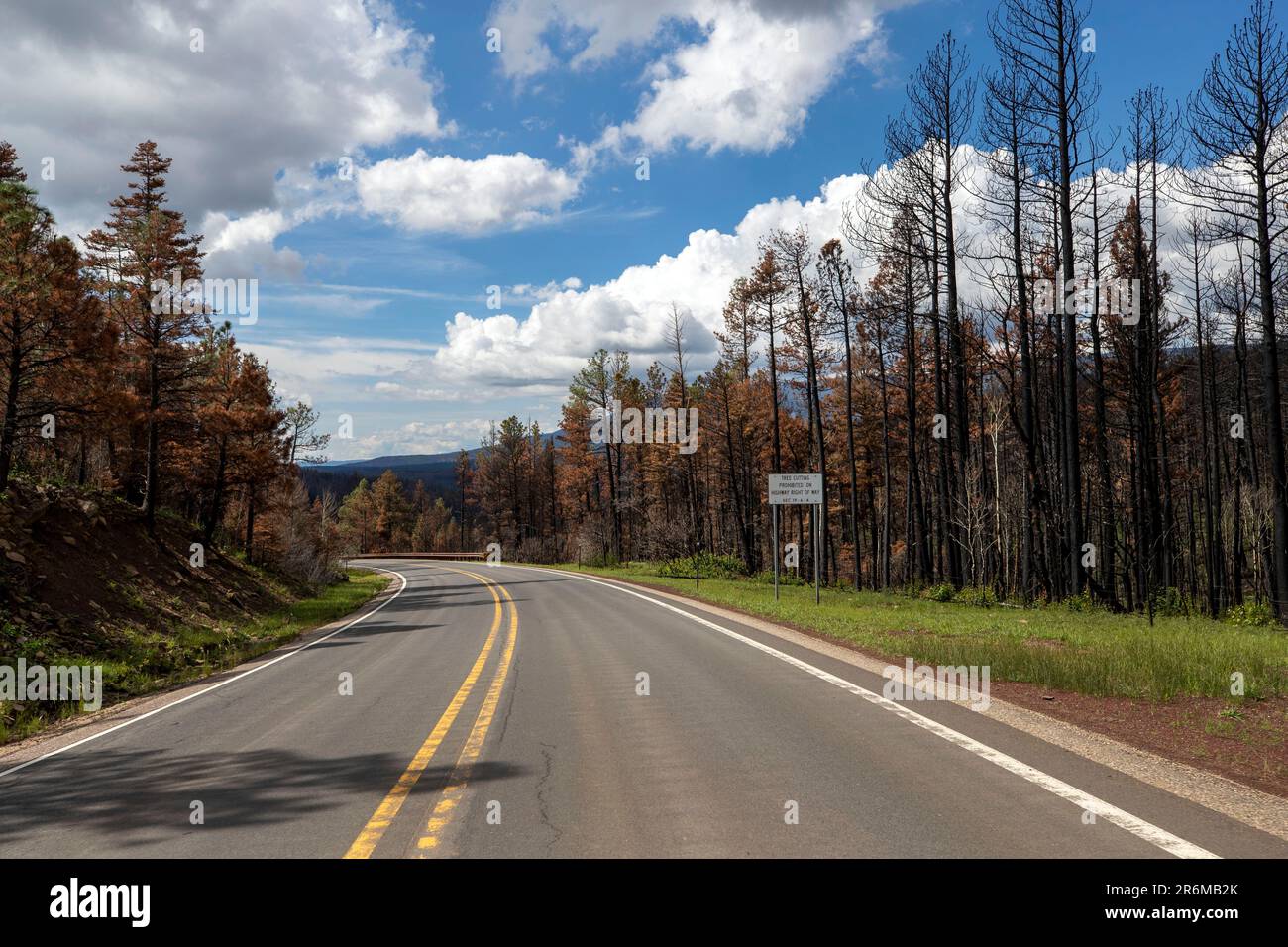 A wildfire affected area is seen from the road to the town of Mora at ...