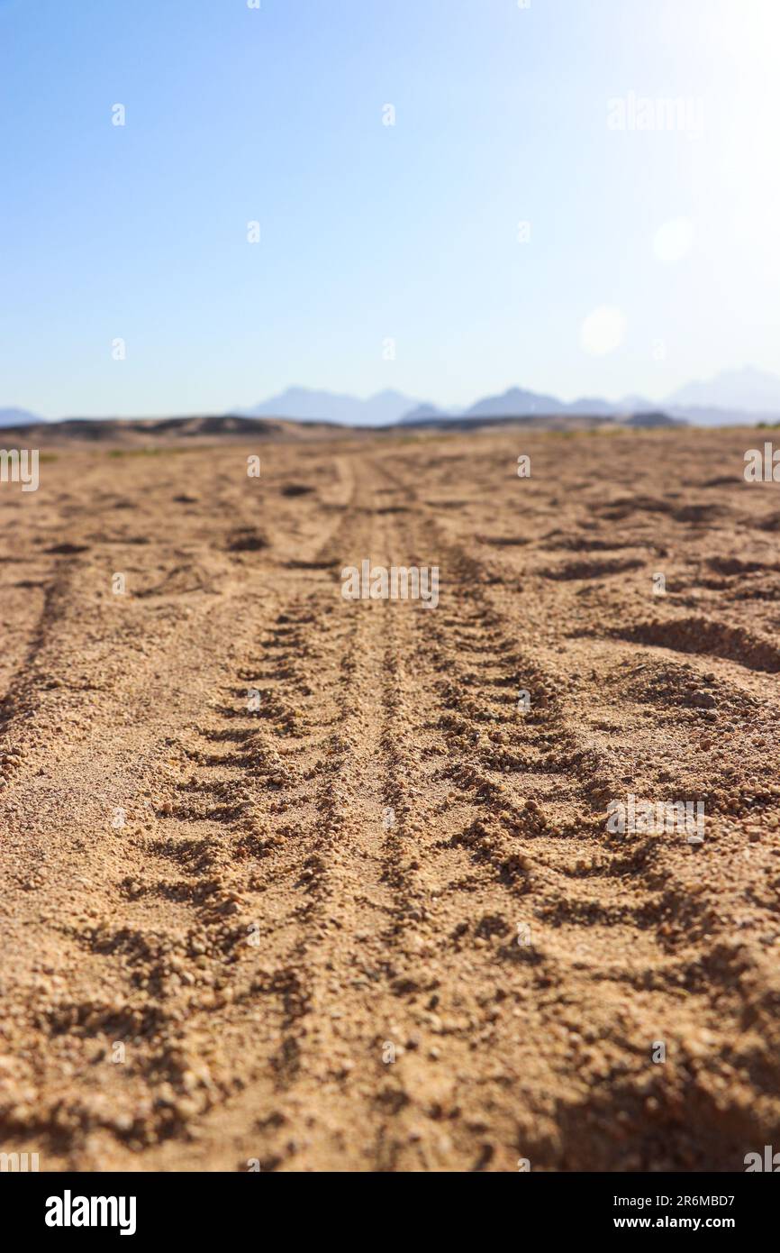 This stock photo features a sun-soaked sand field with tracks left ...