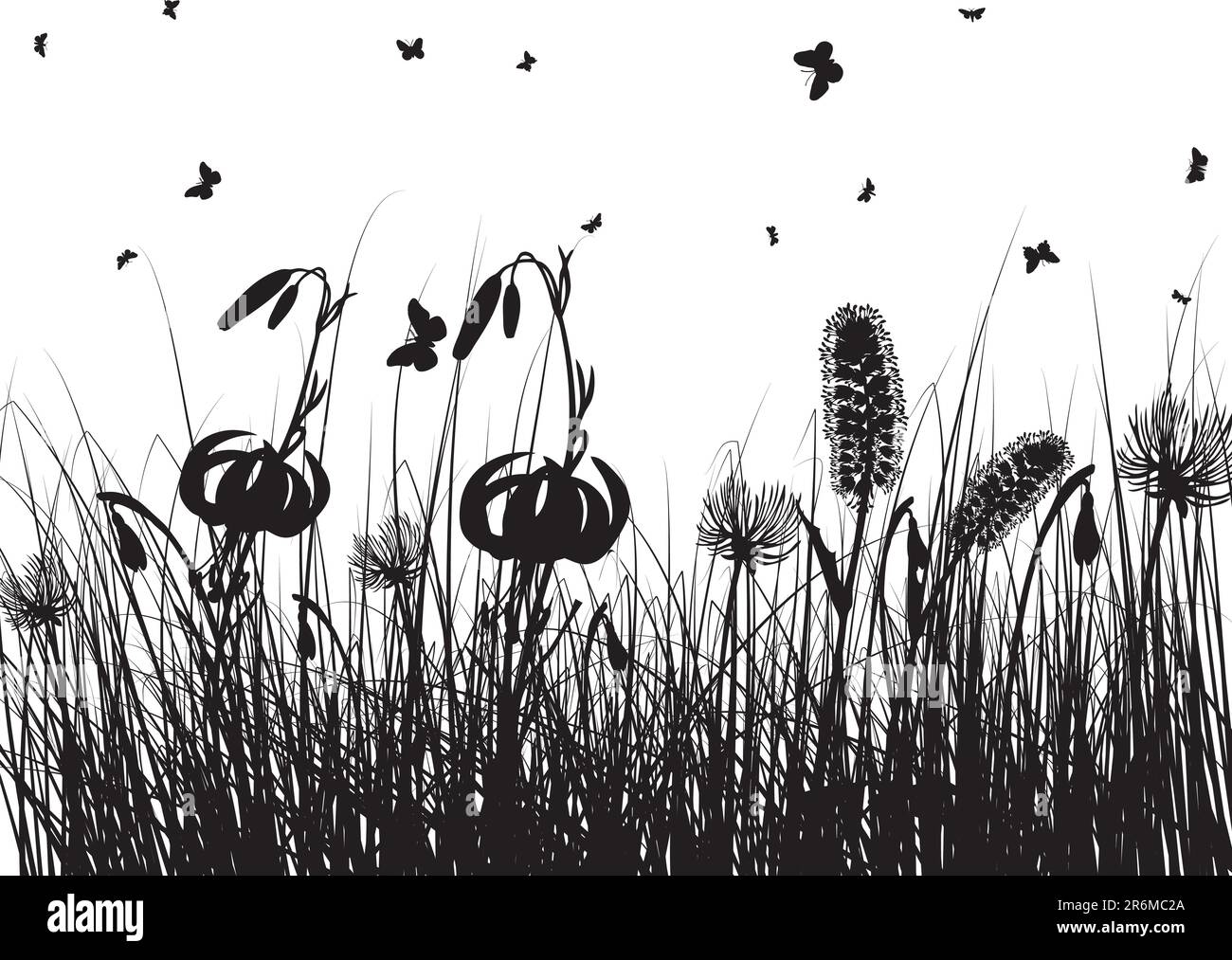 Grassland bug Stock Vector Images - Alamy