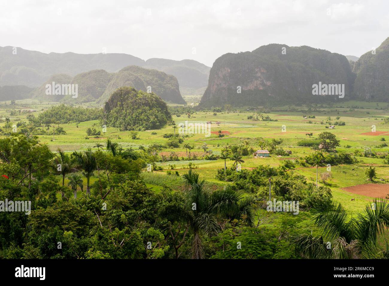 Cuba lush landscape hi-res stock photography and images - Alamy