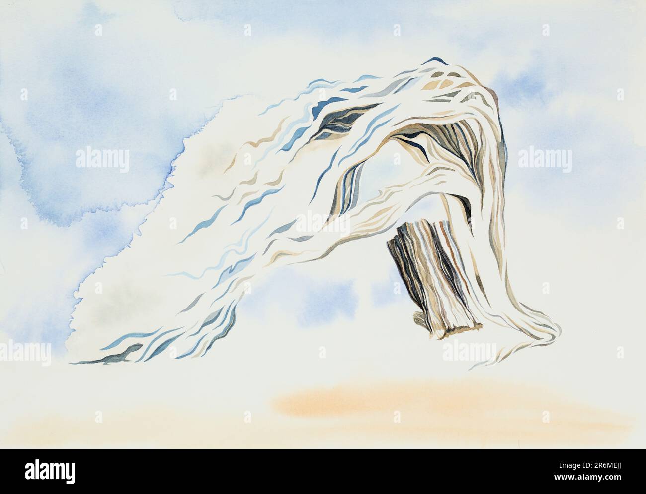 Flora of El Hierro - old wind shaped juniper tree La Sabina, symbol of ...