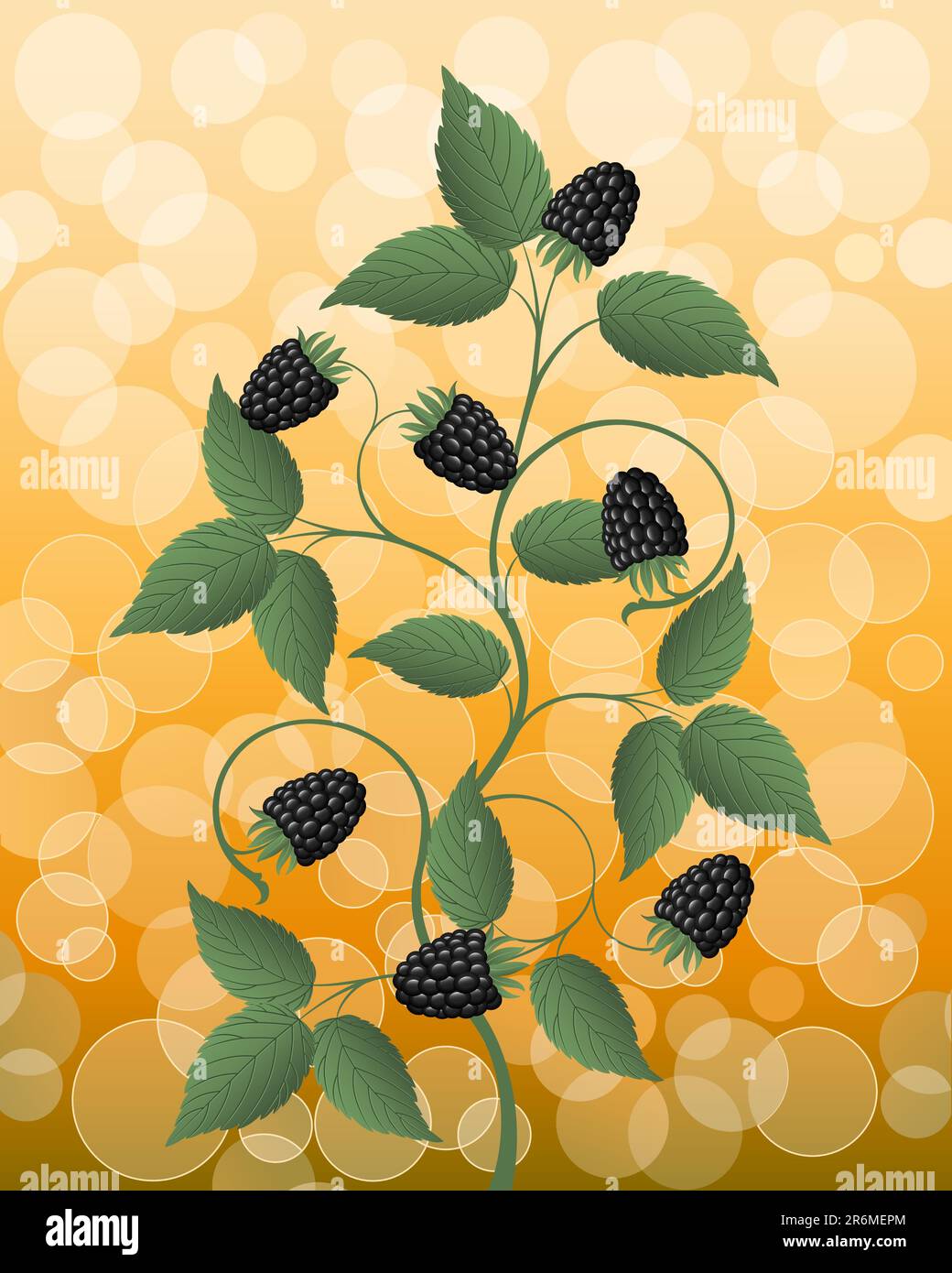 Floral background with a blackberry. Vector illustration Stock Vector ...