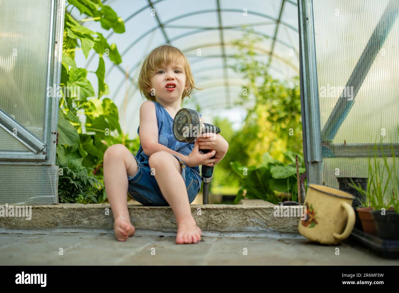 Cute toddler boy having fun in a greenhouse on sunny summer day. Child ...
