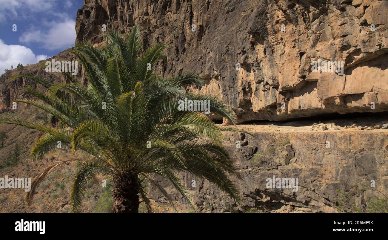 Developed using darktable 4.0.0 Stock Photo - Alamy