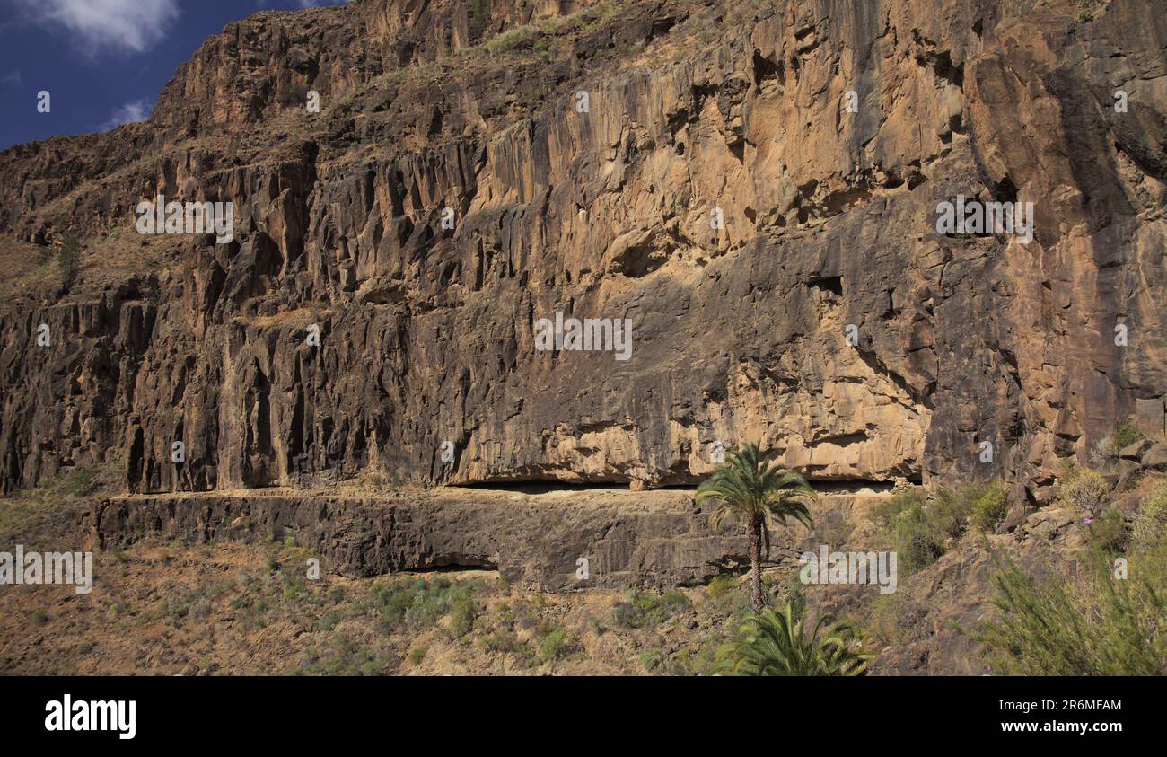 Developed using darktable 4.0.0 Stock Photo - Alamy