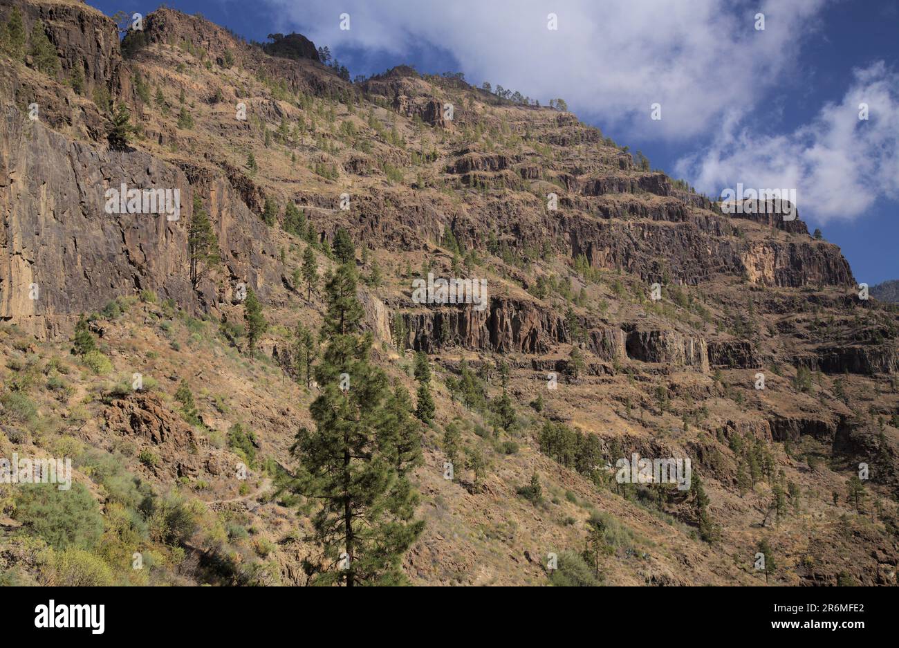 Developed using darktable 4.0.0 Stock Photo - Alamy