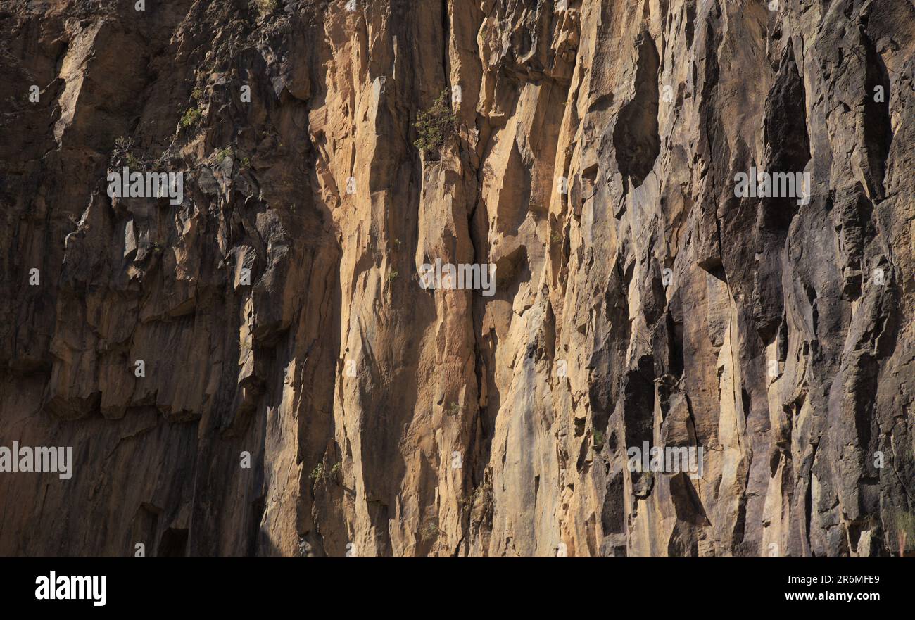 Developed using darktable 4.0.0 Stock Photo - Alamy