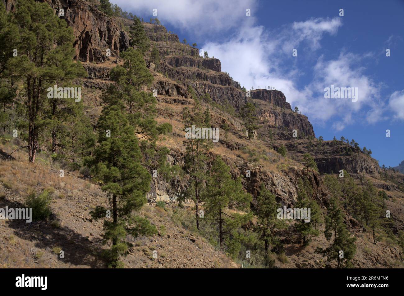 Developed using darktable 4.0.0 Stock Photo - Alamy