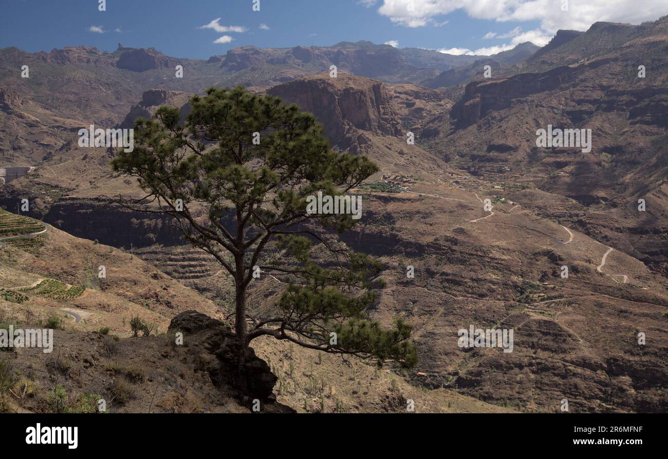 Developed using darktable 4.0.0 Stock Photo - Alamy