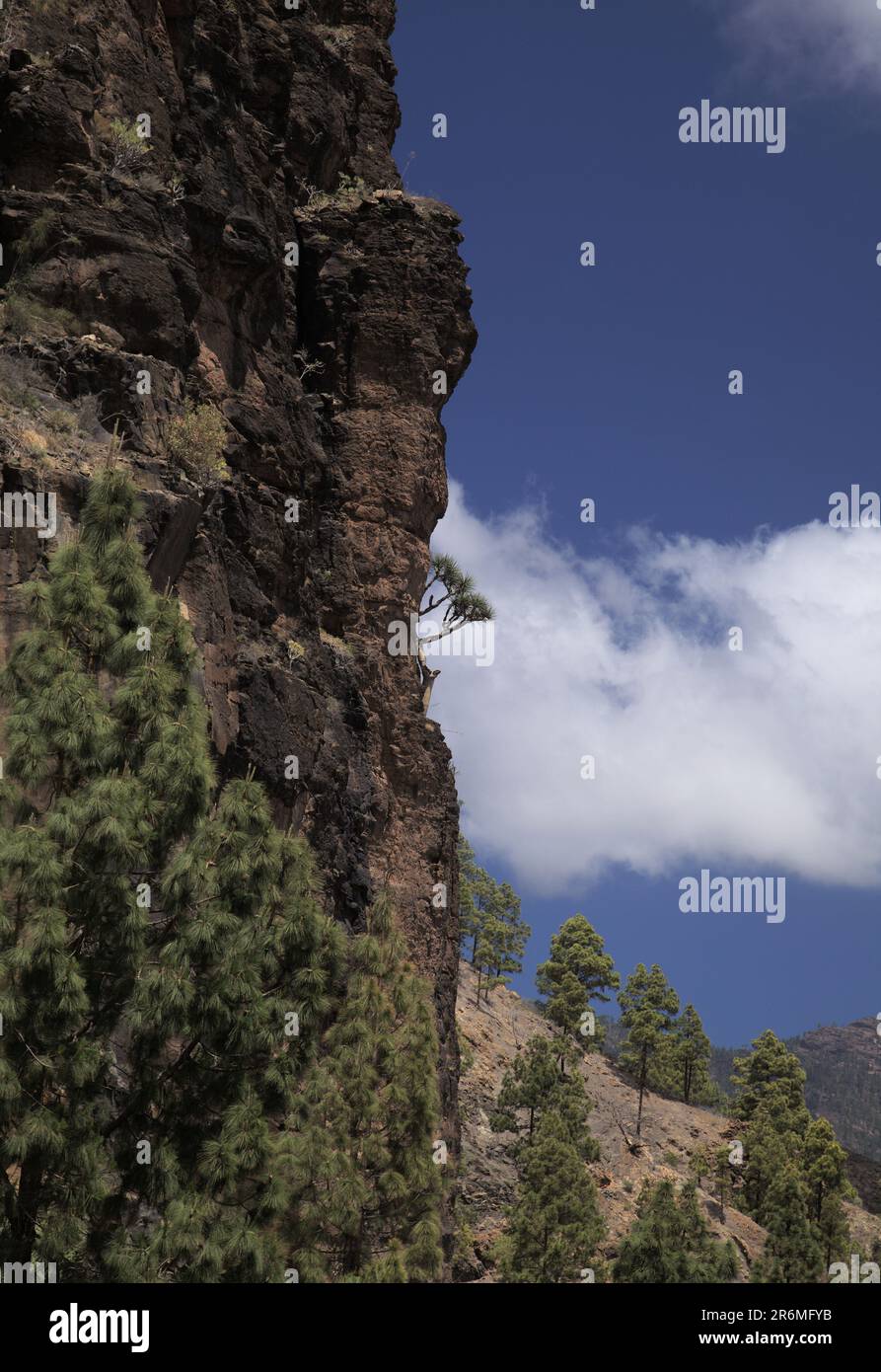 Developed using darktable 4.0.0 Stock Photo - Alamy