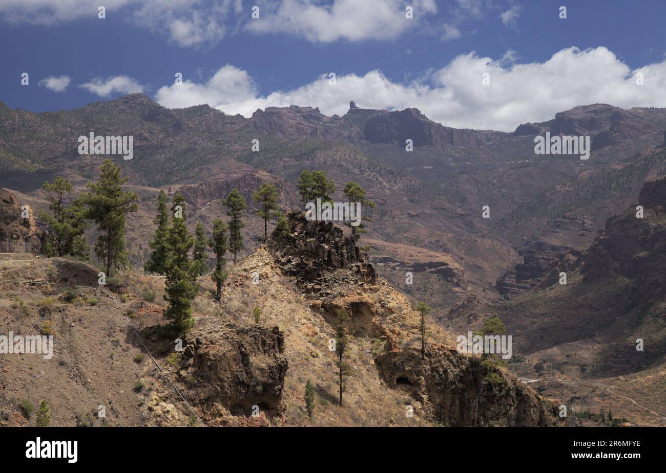 Developed using darktable 4.0.0 Stock Photo - Alamy