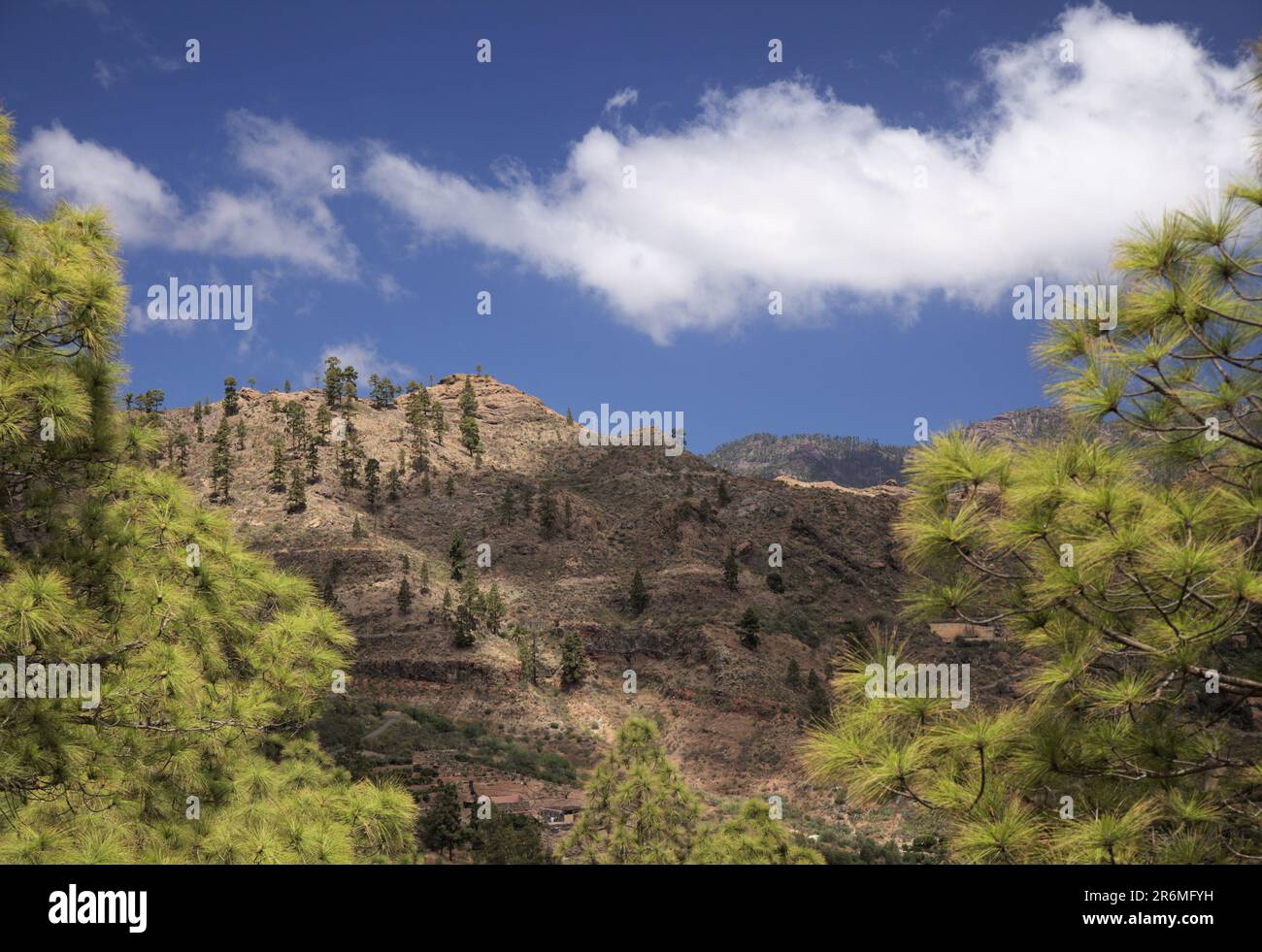 Developed using darktable 4.0.0 Stock Photo - Alamy