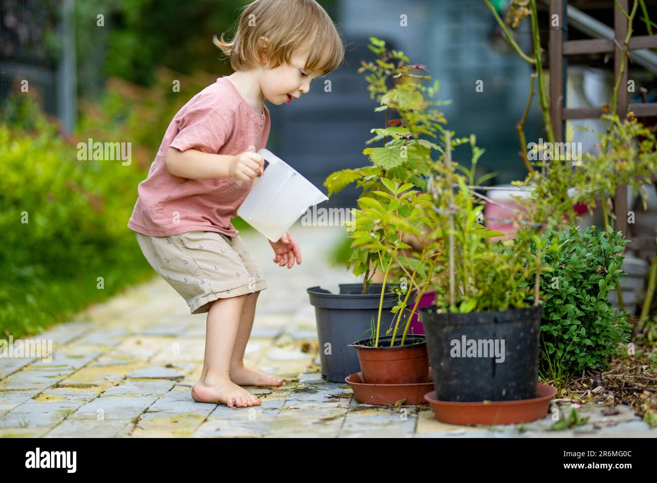 Cute blond little toddler watering plants using watering pot outdoors ...