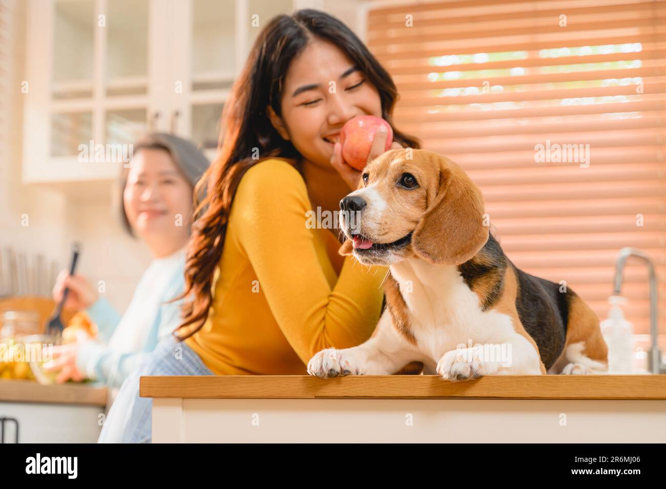 A woman is shown in a friendly interaction with her dog, a playful ...