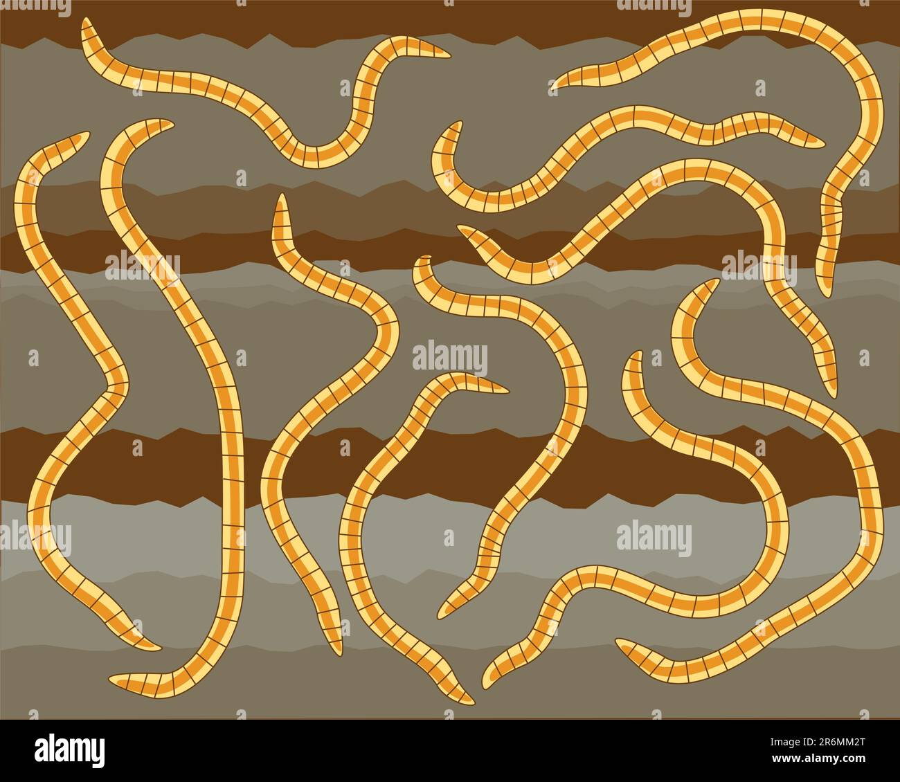 Vector illustration of earthworms in soil Stock Vector Image & Art - Alamy