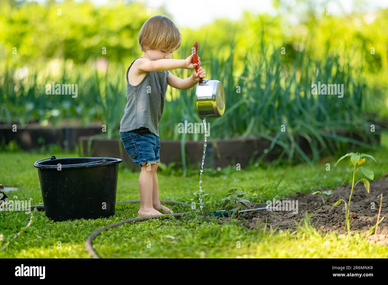 Cute blond little toddler watering plants using cooking pot outdoors in ...