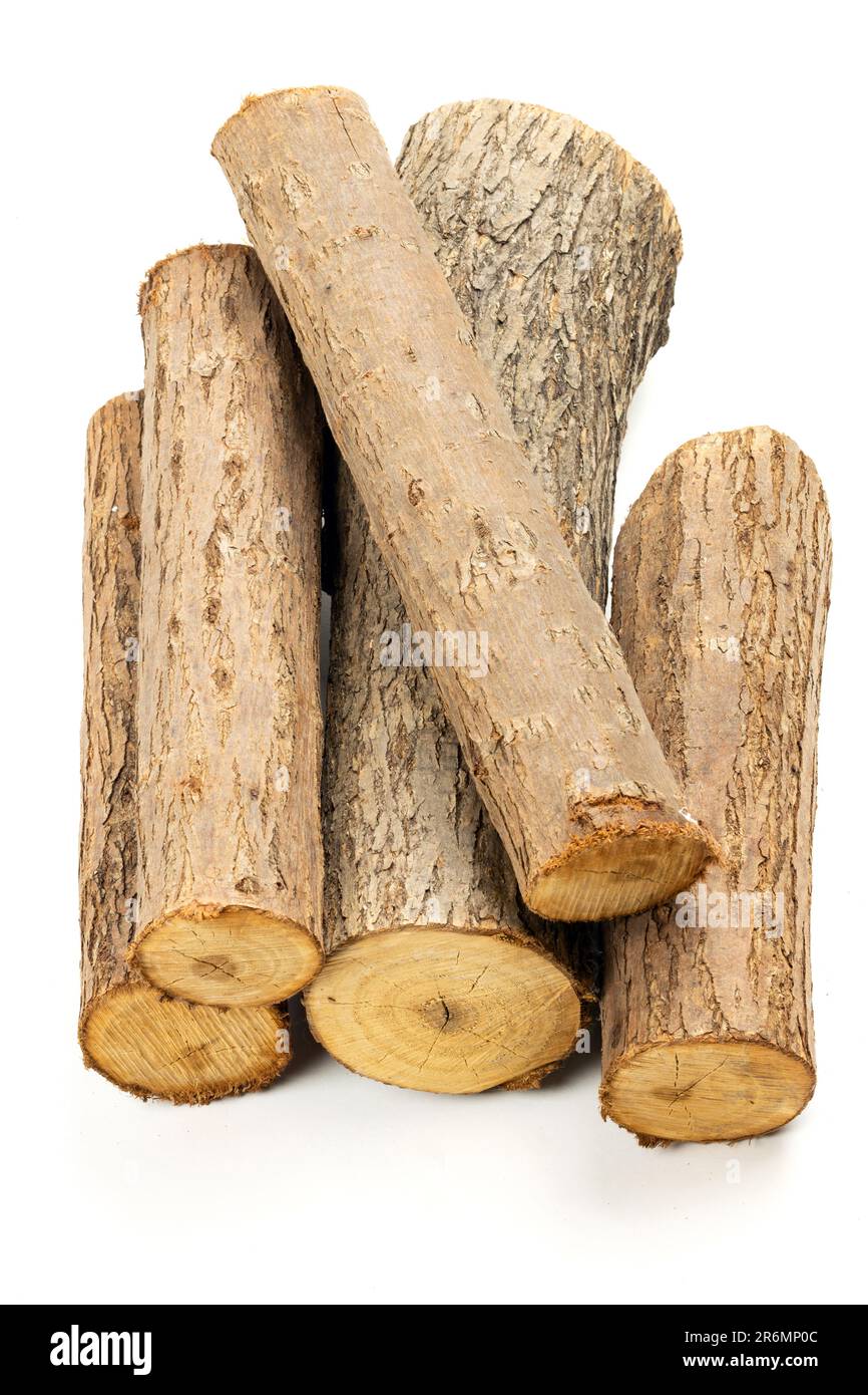 Several cut willow logs isolated over white background Stock Photo - Alamy