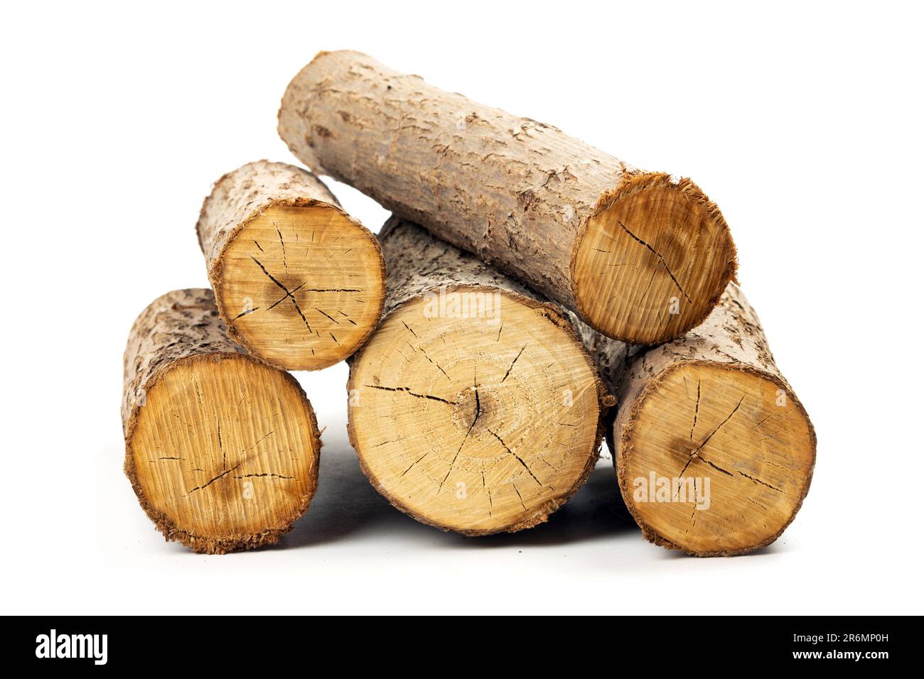 Several cut willow logs isolated over white background Stock Photo - Alamy