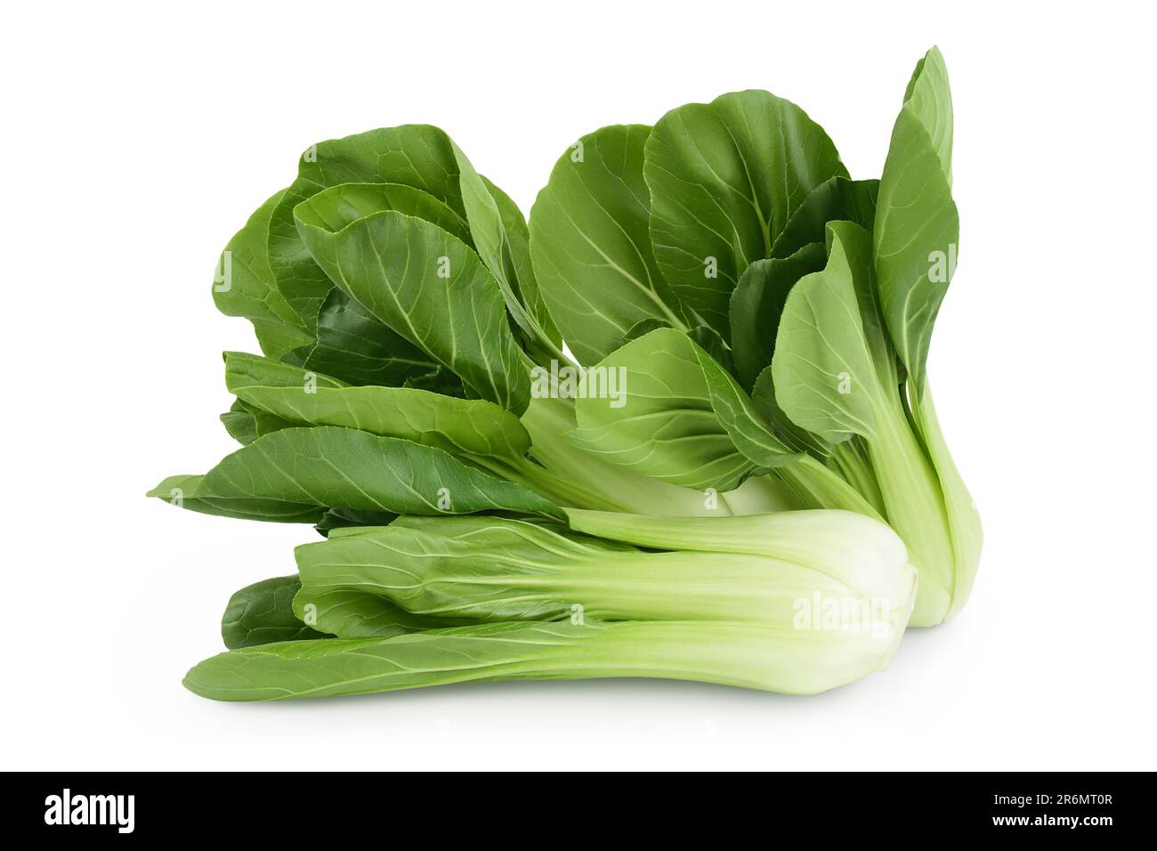 Fresh pak choi cabbage isolated on white background with full depth of ...