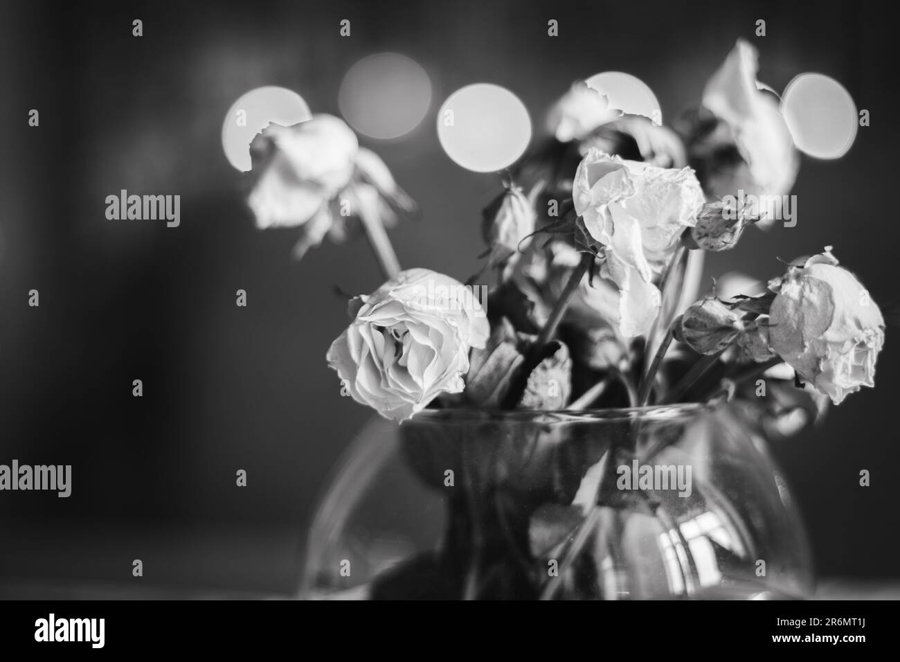 Bouquet of weathered roses, black and white. Small dry roses in vase ...