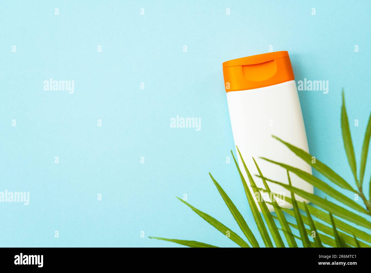 Shell on beach green screen hi-res stock photography and images - Alamy