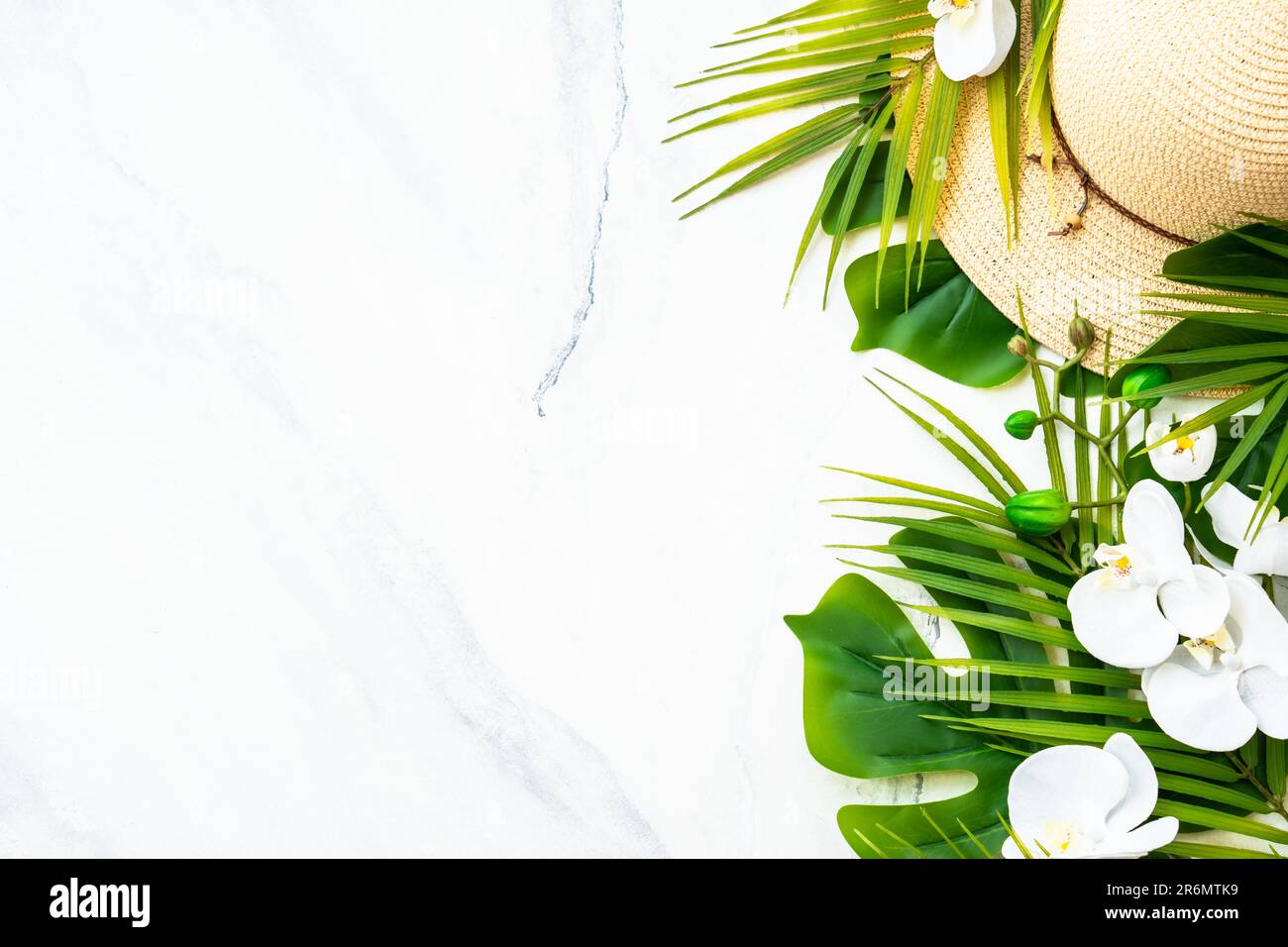 Shell on beach green screen hi-res stock photography and images - Alamy
