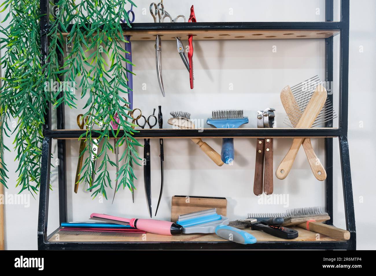 A set of groomer's tools in a grooming salon Stock Photo - Alamy