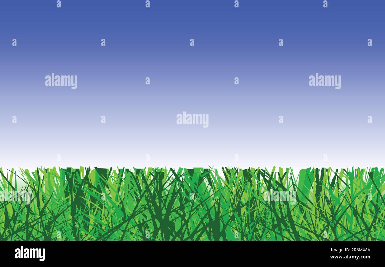 Editable vector illustration of a cut lawn Stock Vector Image & Art - Alamy