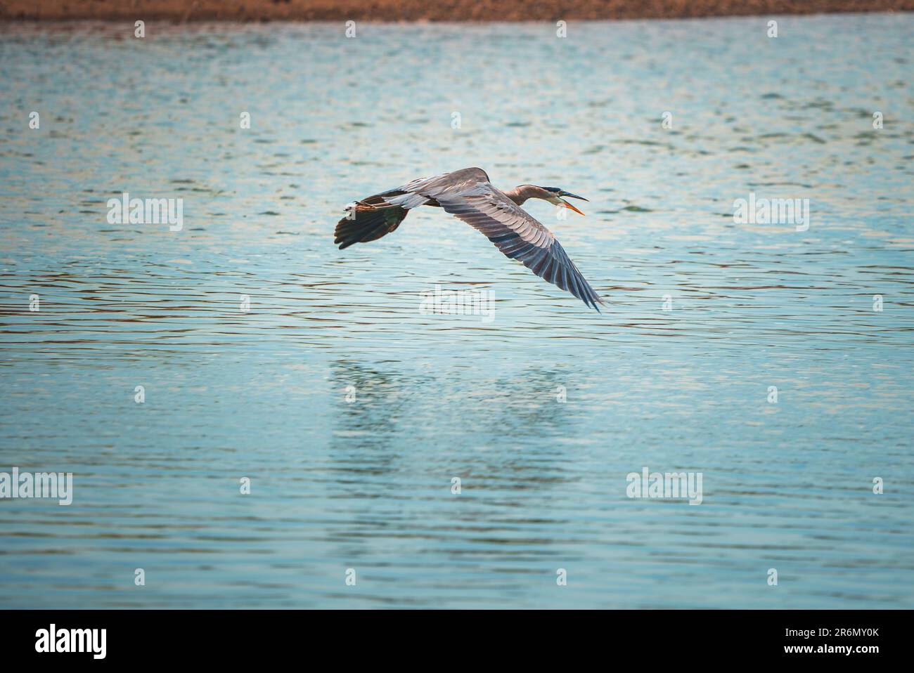 Flying over beautiful lake in hi-res stock photography and images - Alamy