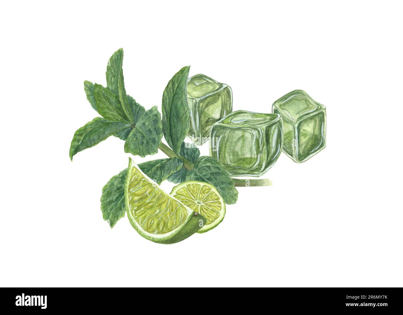 Watercolor set of lime slices, mint leaves, ice cube isolated on white ...