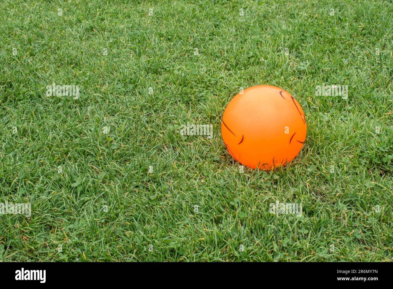 vienna, austria 10 june 2023 experience the joy of outdoor play with an ...