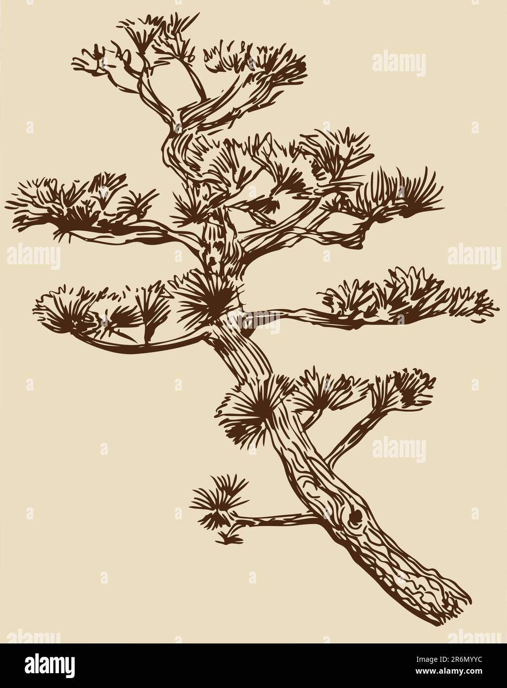 Hand drawn image of a bonsai tree branch Stock Vector Image & Art - Alamy