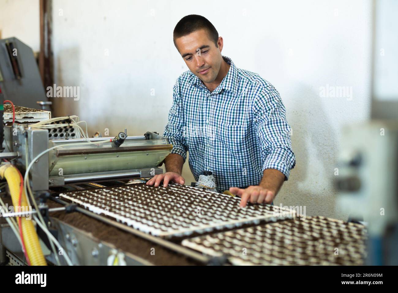 Farmer man working with automatic filling and seeding line for growing ...