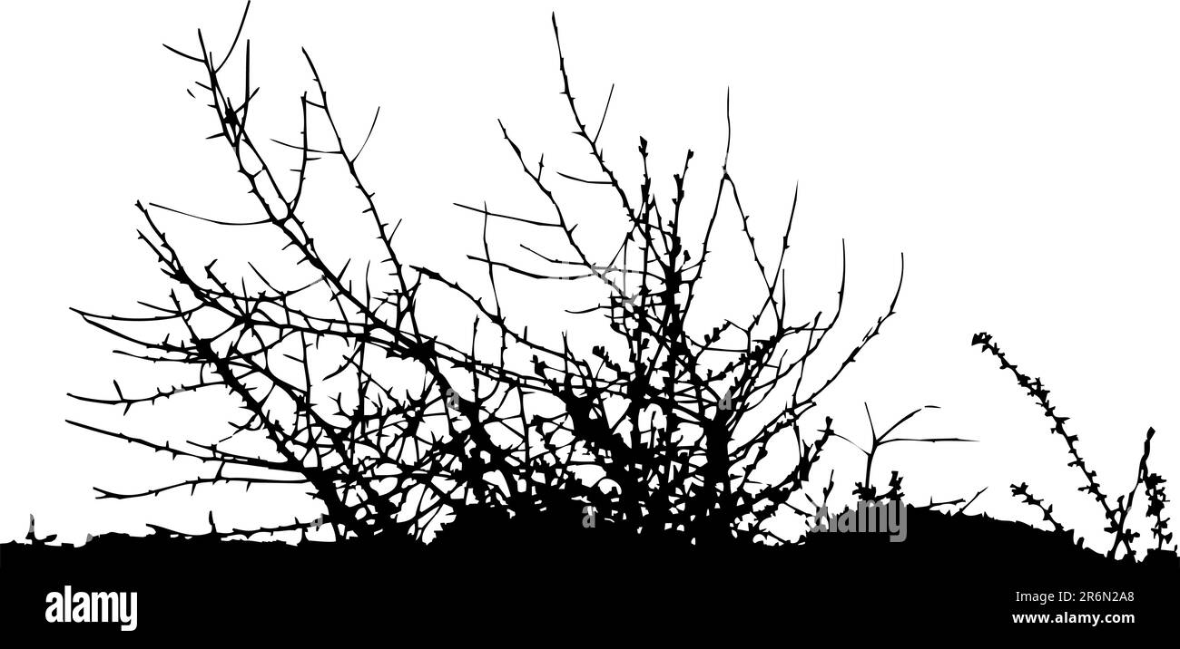 bush / silhouette / vector Ideally for your use Stock Vector Image ...