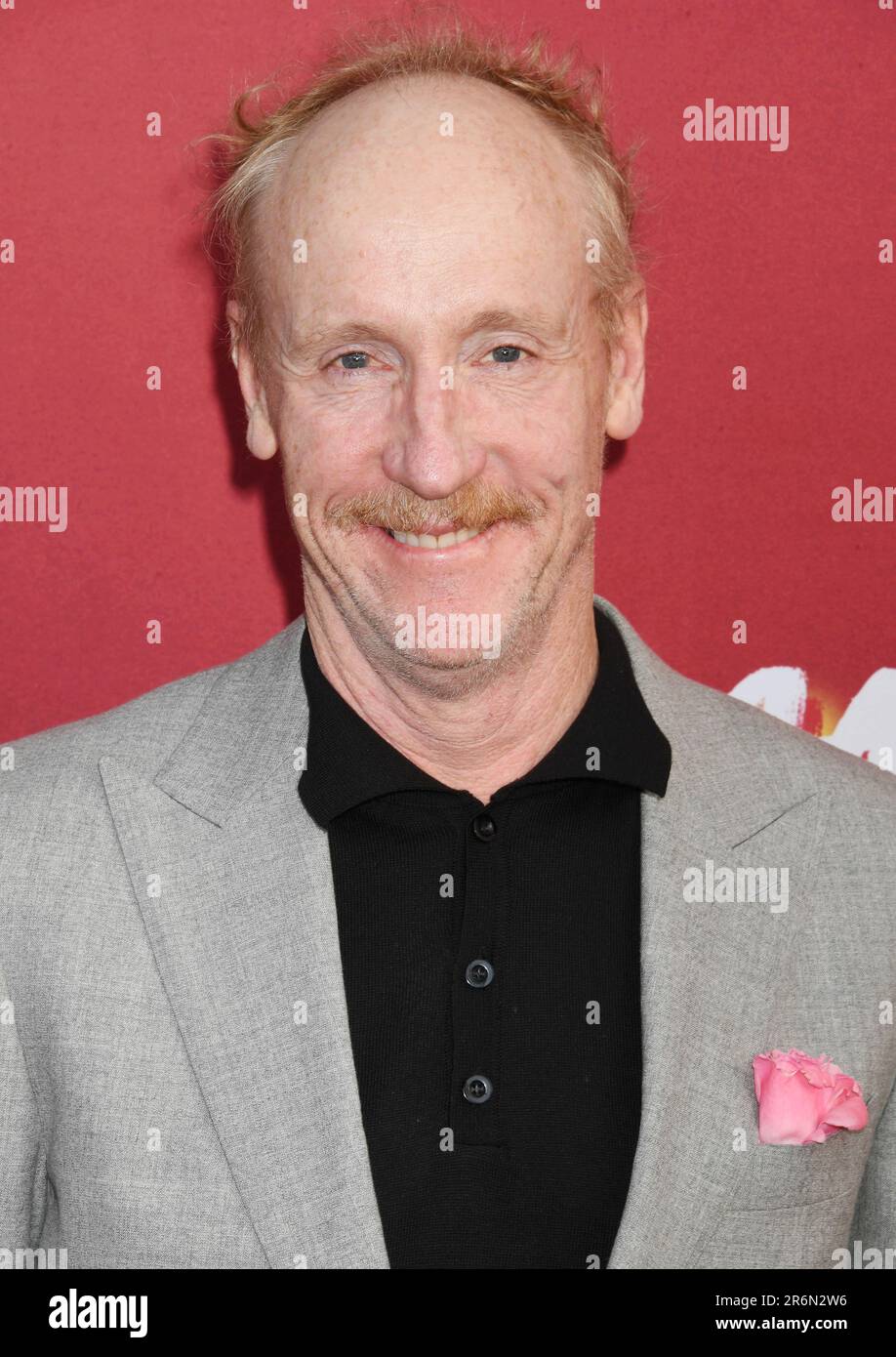 HOLLYWOOD, CALIFORNIA - JUNE 09: Matt Walsh attends the special ...