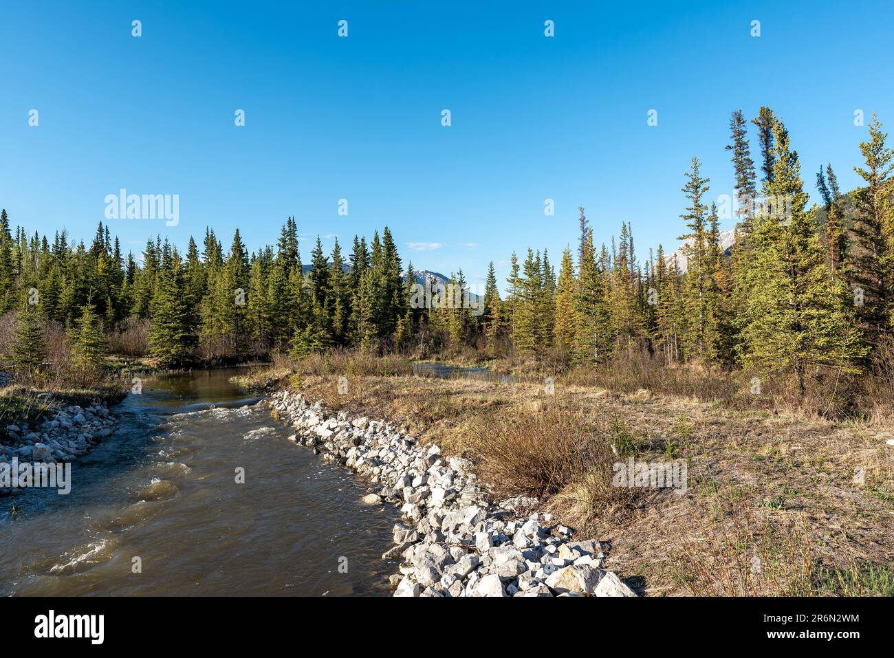 Wilderness landscape view of marsh marshy moose area in Yukon Territory ...