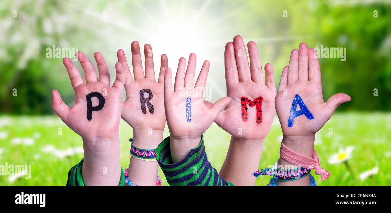 Children Hands Building Word Prima Means Super, Grass Meadow Stock ...