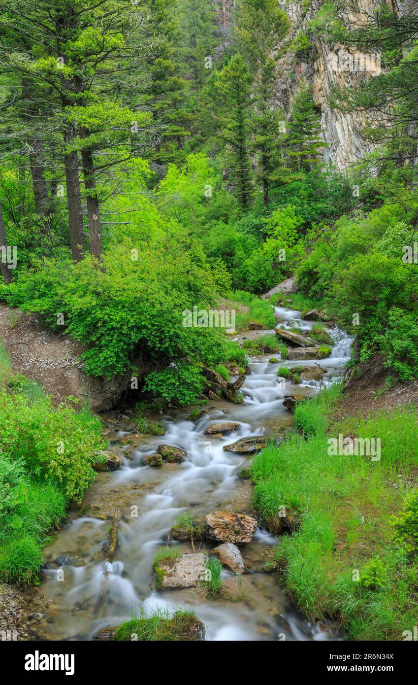 rapids in trout creek canyon above vigilante campground near york ...