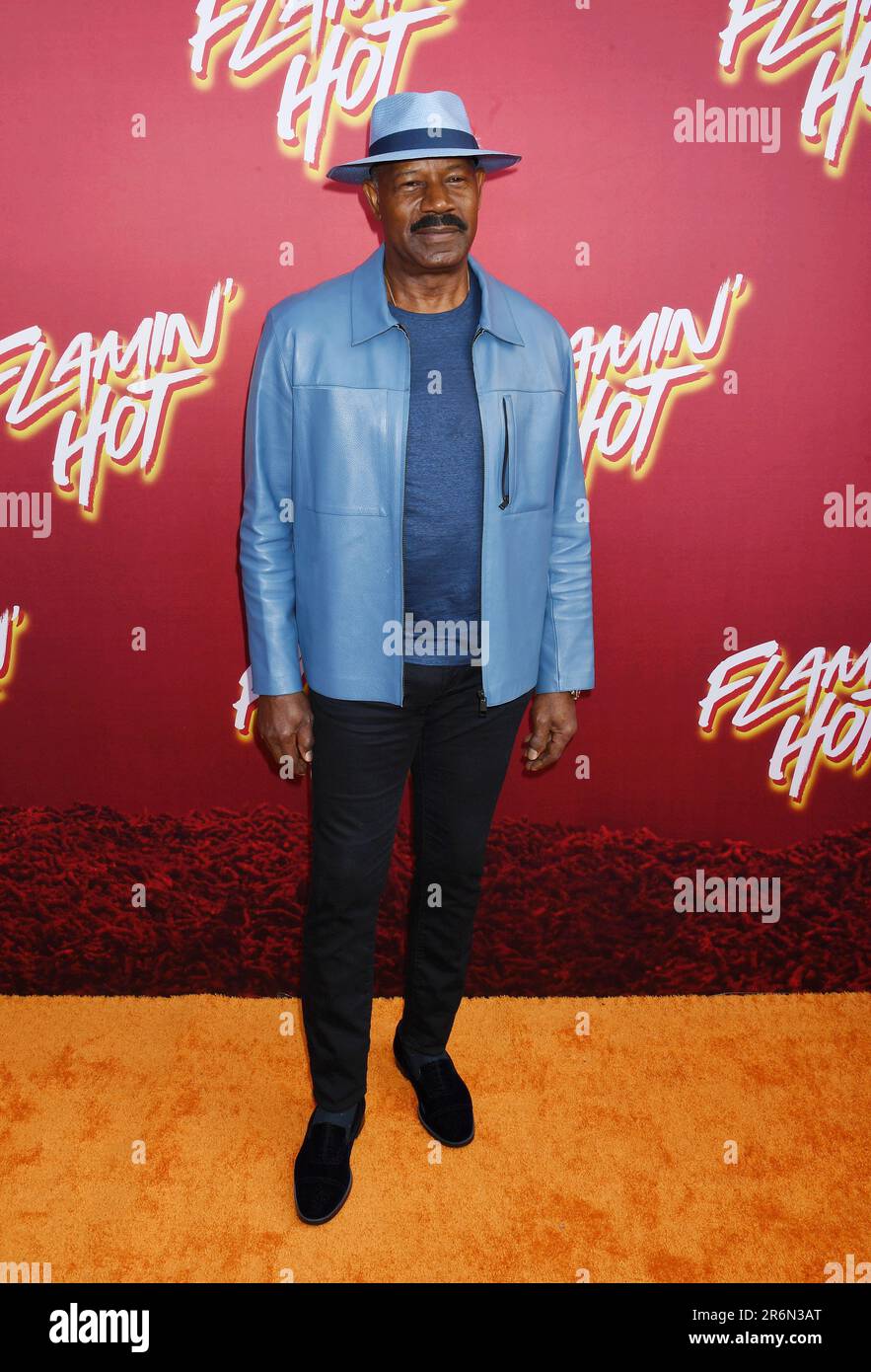 HOLLYWOOD, CALIFORNIA - JUNE 09: Dennis Haysbert attends the special ...