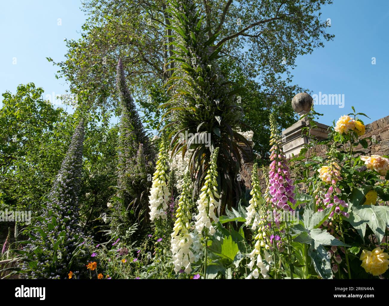 Christchurch Rectory garden in Fournier Street, Spitalfields, with ...