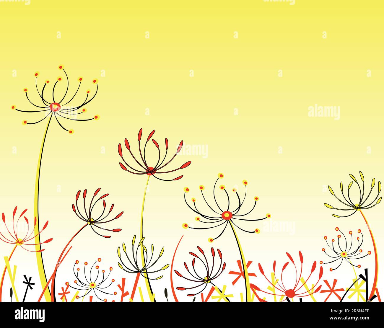 Umbellifer apiaceae Stock Vector Images - Alamy