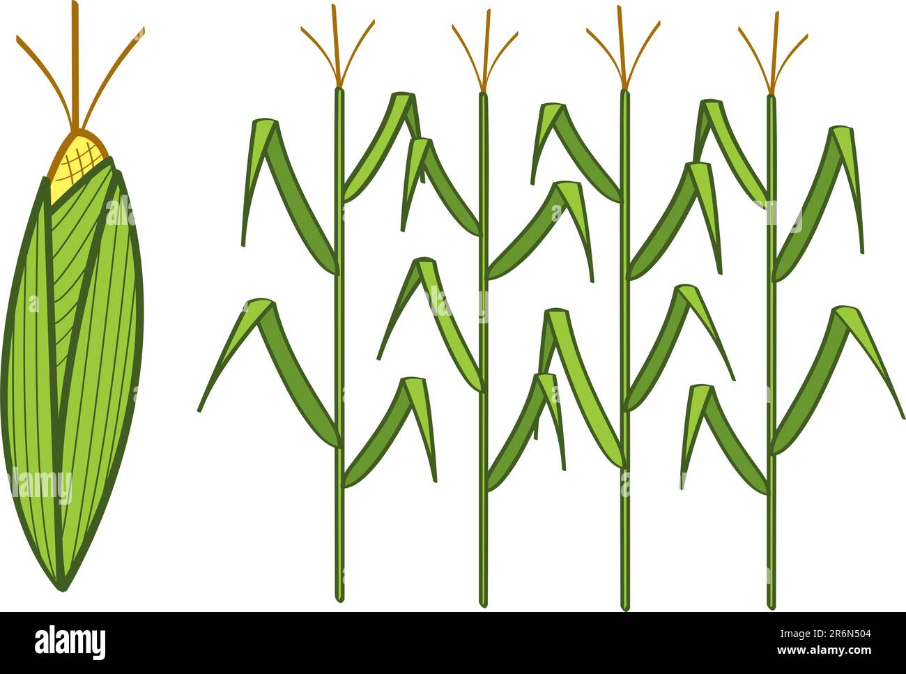 Corn stalks field Stock Vector Images - Alamy