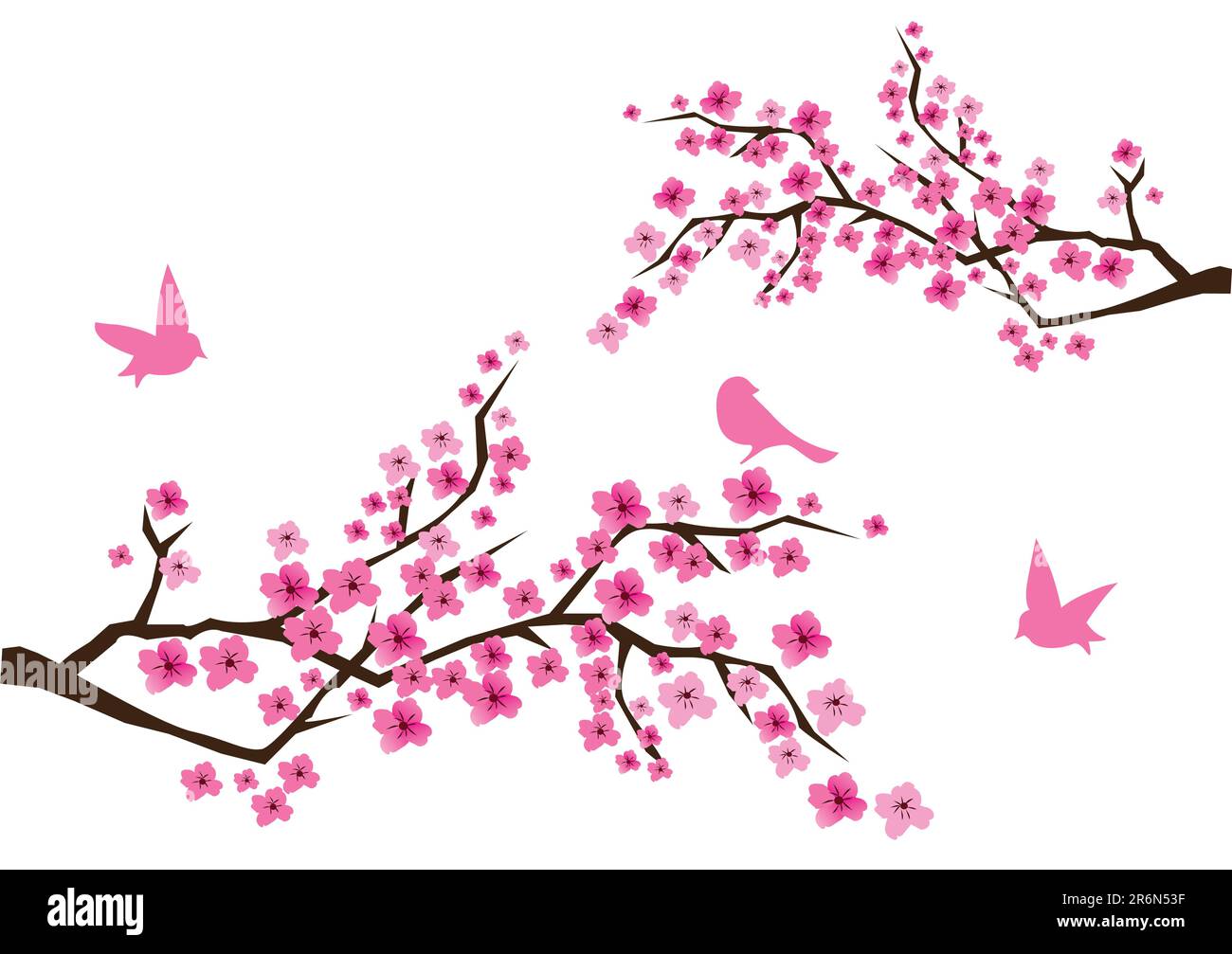 cherry blossom with birds Stock Vector Image & Art - Alamy