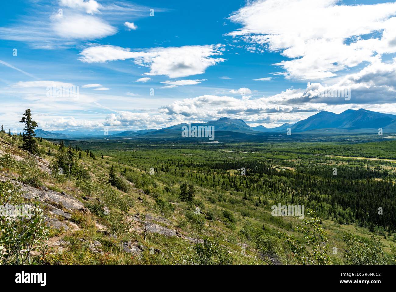 Yukon whitehorse hiking hi-res stock photography and images - Alamy