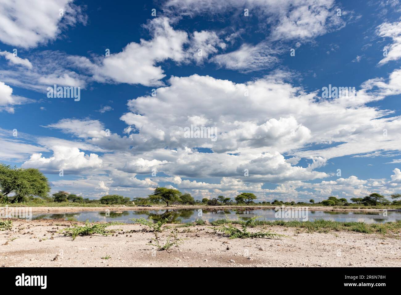 Waterhole view at the Onkolo Hide - Onguma Game Reserve, Namibia ...