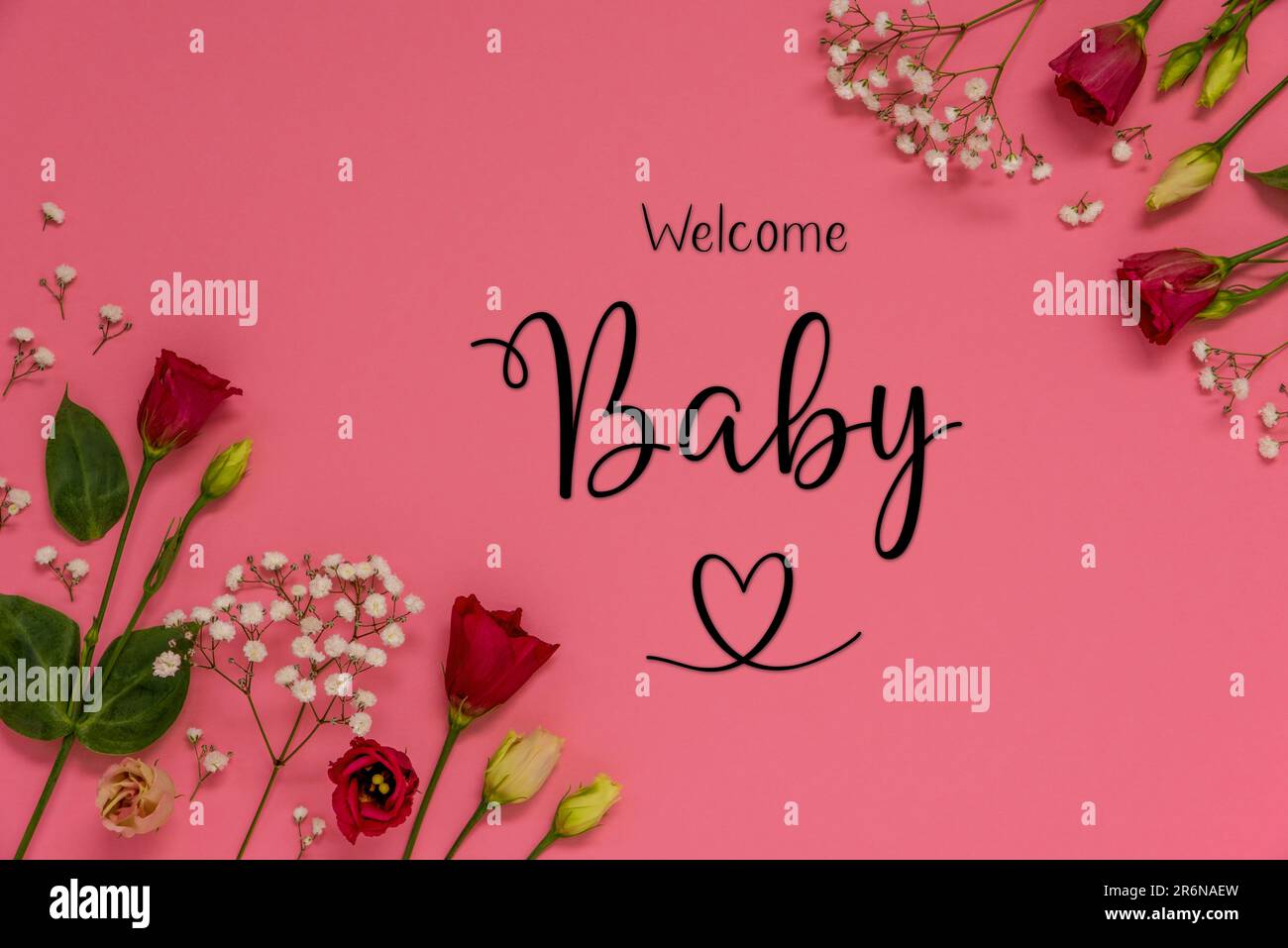 Roses Flower Arrangement, English Text Welcome Baby, Flat Lay Stock ...