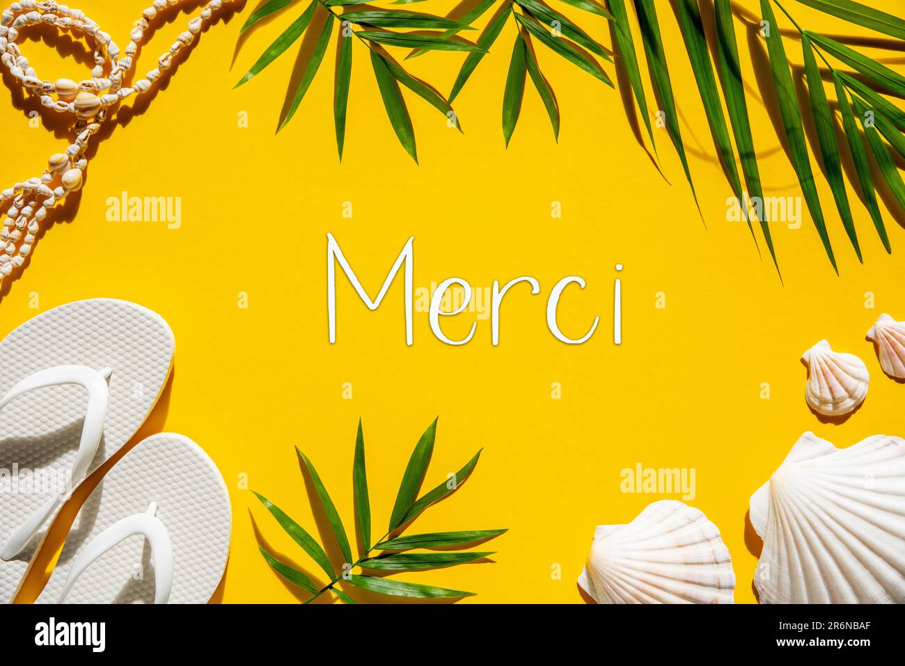 Yellow Summer Flat Lay, Shells, Palm Leaf, Text Merci Means Thank You ...