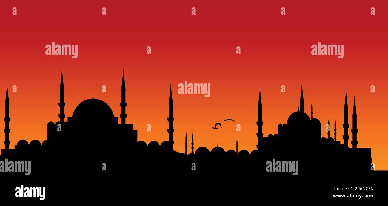 vector cityscape of istanbul Stock Vector Image & Art - Alamy