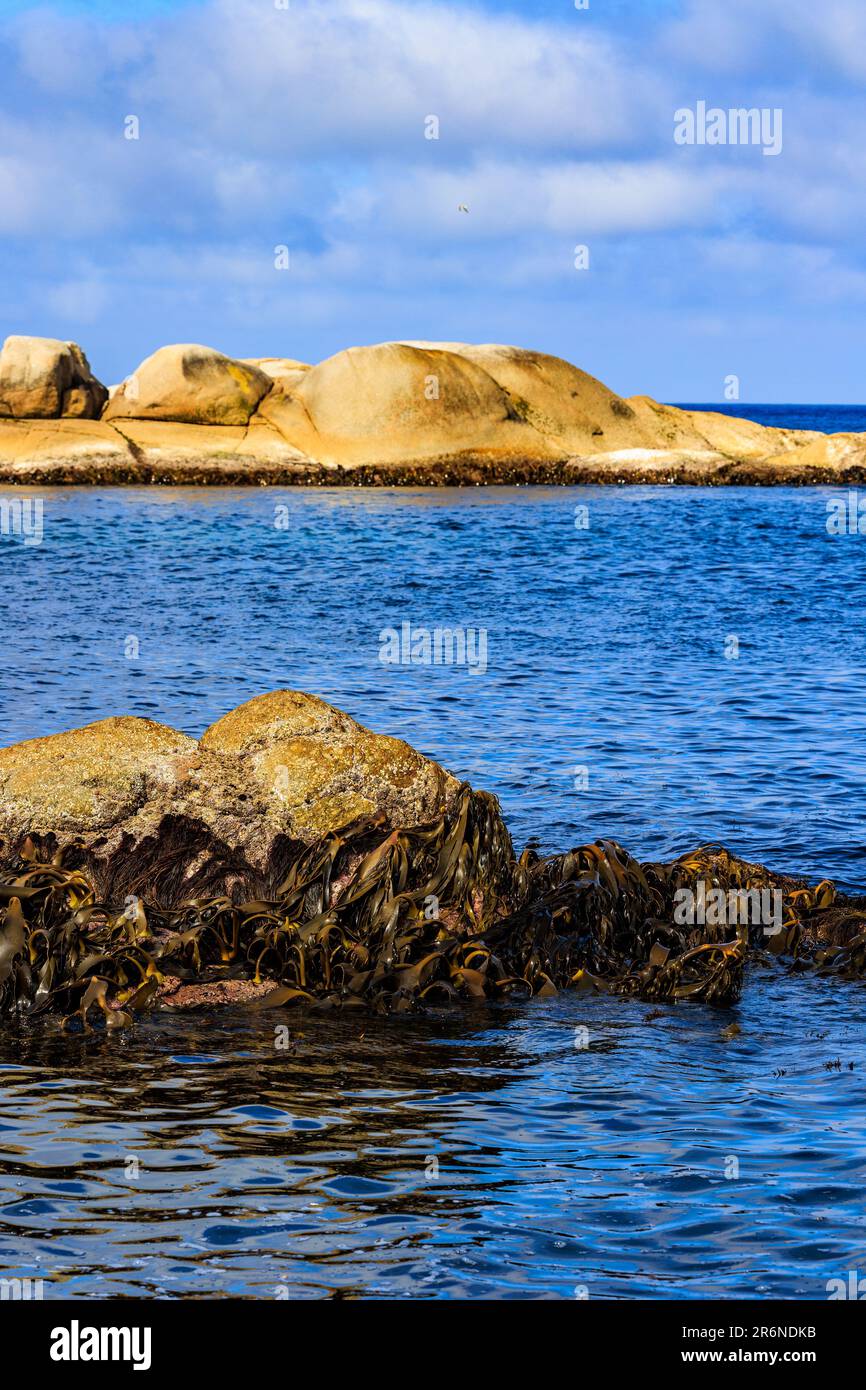 A scenic beach scene featuring a rocky shoreline with blue waters in ...